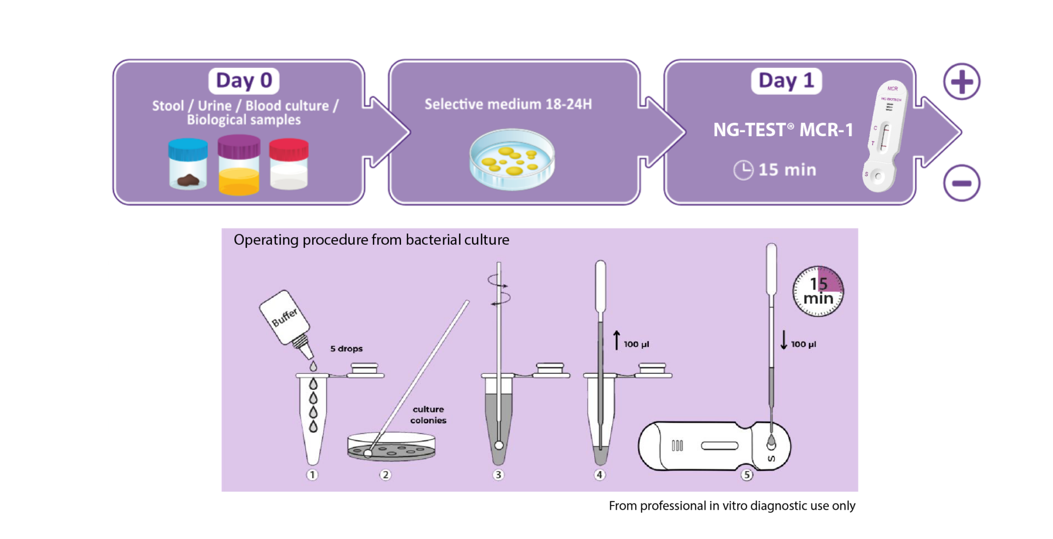 MCR-1 Test - COLISTIN RESISTANCE DETECTION