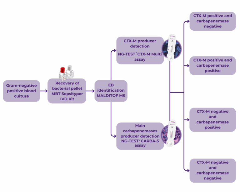 CARBA-5 Test - CARBAPENEMASE RESISTANCE DETECTION