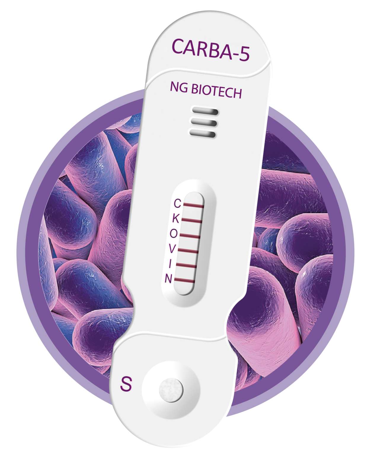CARBA-5 Test - CARBAPENEMASE RESISTANCE DETECTION