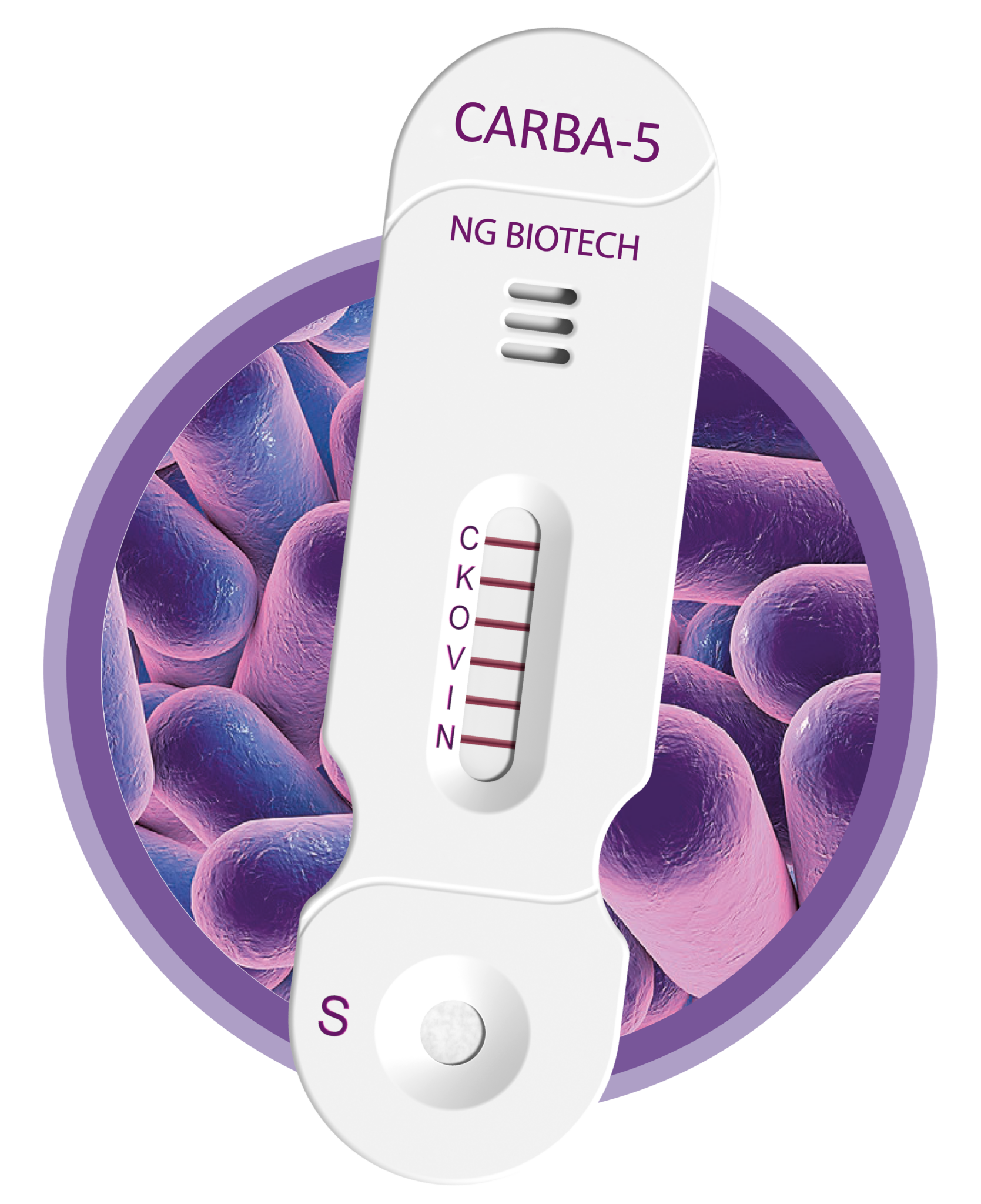 CARBA-5 Test - CARBAPENEMASE RESISTANCE DETECTION